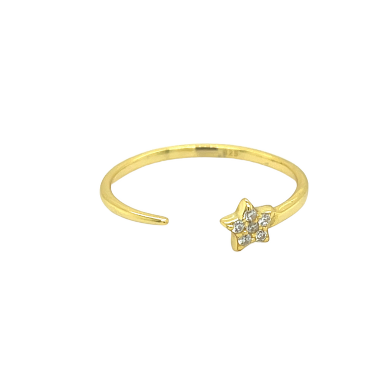 Rings – Kury Universal